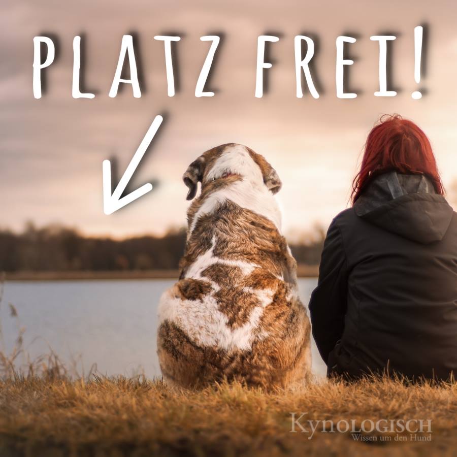 Kurzfristig wieder ein freier Platz! - KynoLogisch