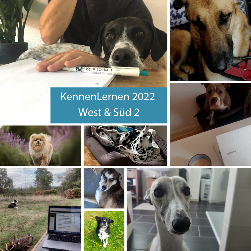 "Intuition vs. Wissen gilt nicht!" Interview mit Dr. Dorit Feddersen ...