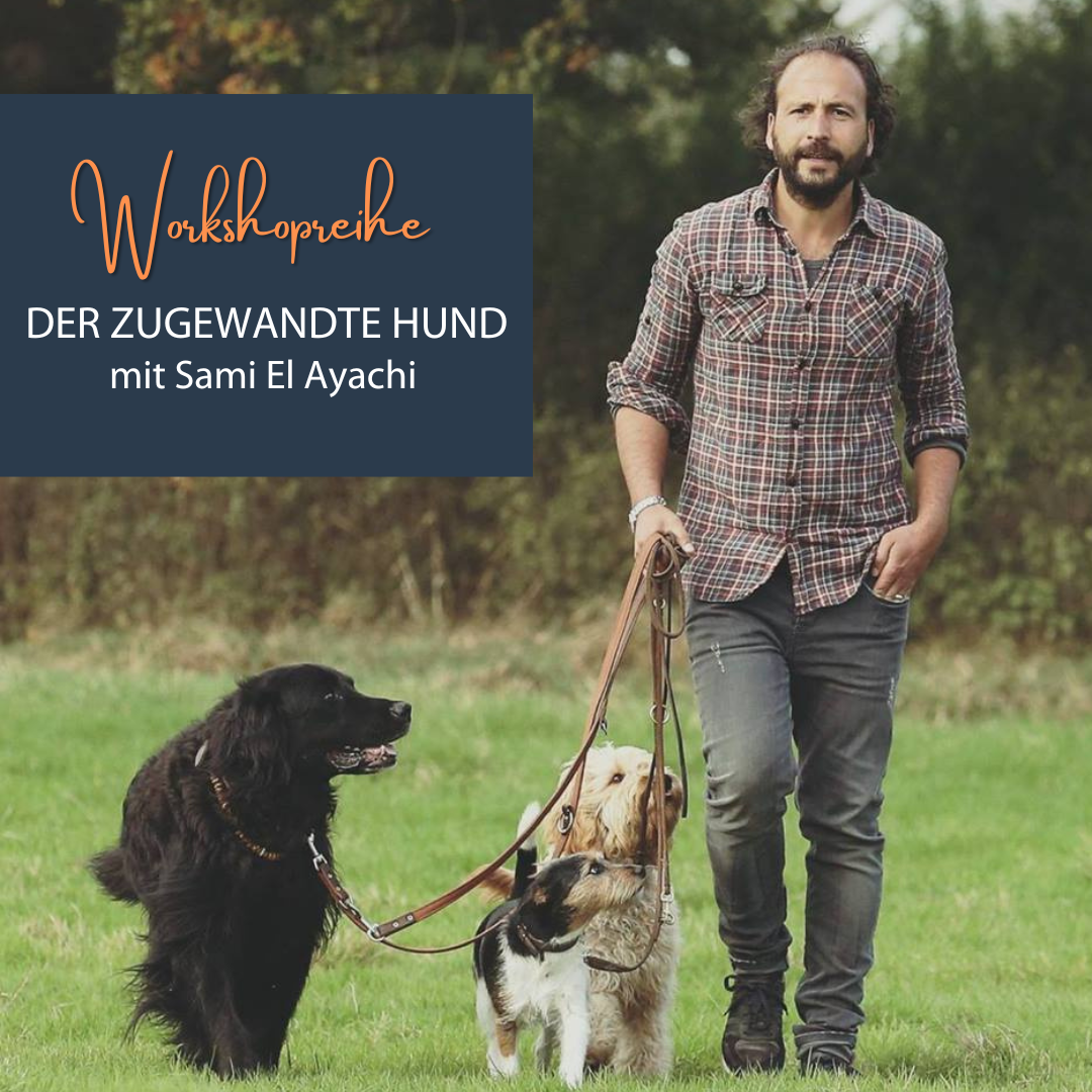 Veranstaltungen mit Sami El Ayachi in 2024 - KynoLogisch