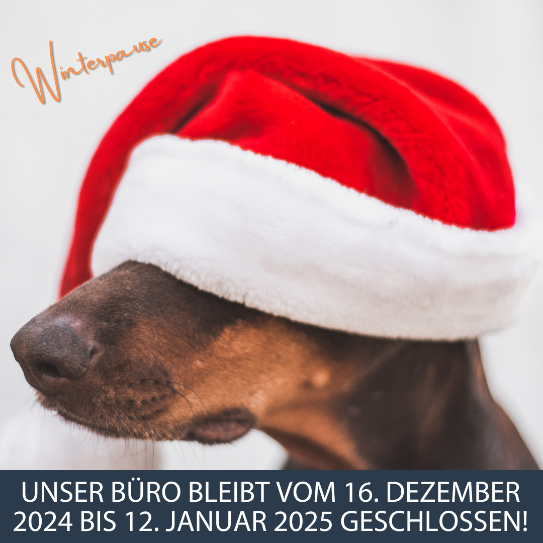 Wir machen Winter-Weihnachts-Silvester-Pause! - KynoLogisch