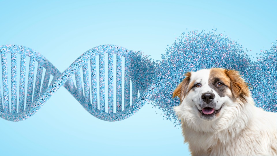 Science Series: "Gene, Umwelt & Epigenetik – Wie Persönlichkeit beim ...